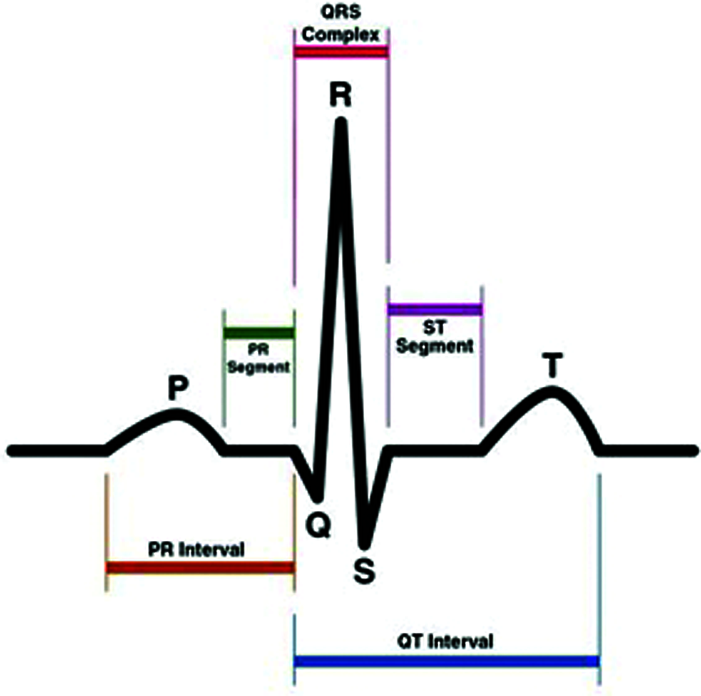 Design and Realization of Non Invasive Fetal ECG Monitoring System