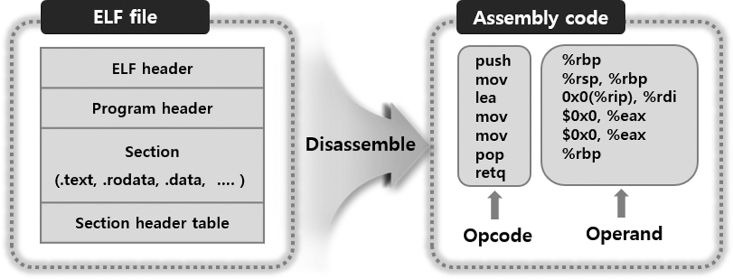 Massive IoT Malware Classification Method Using Binary Lifting