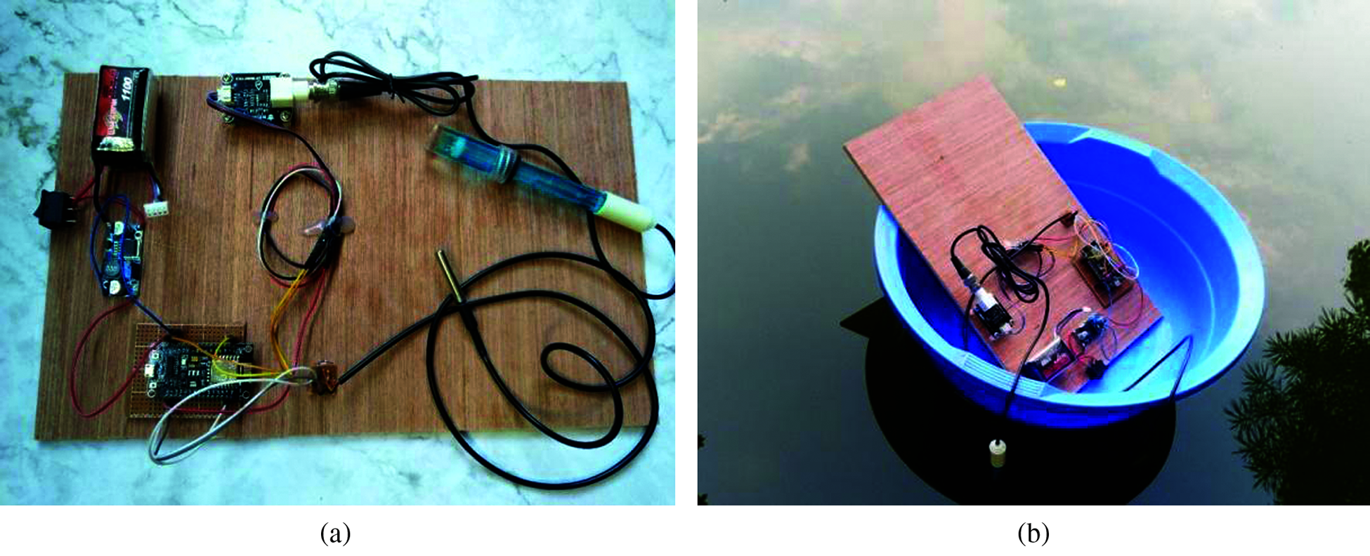 Development of IoT Based Fish Monitoring System for Aquaculture