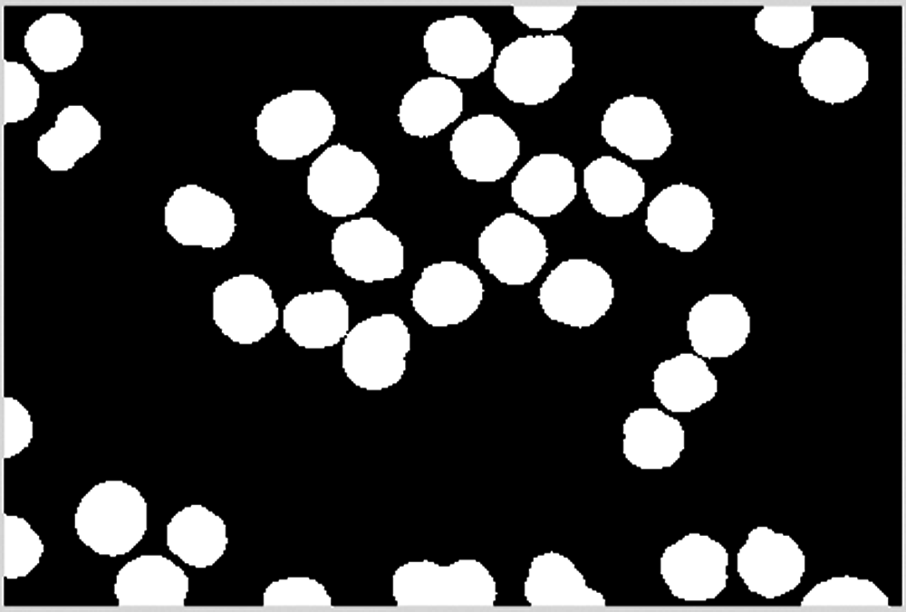 A Morphological Image Segmentation Algorithm for Circular Overlapping Cells