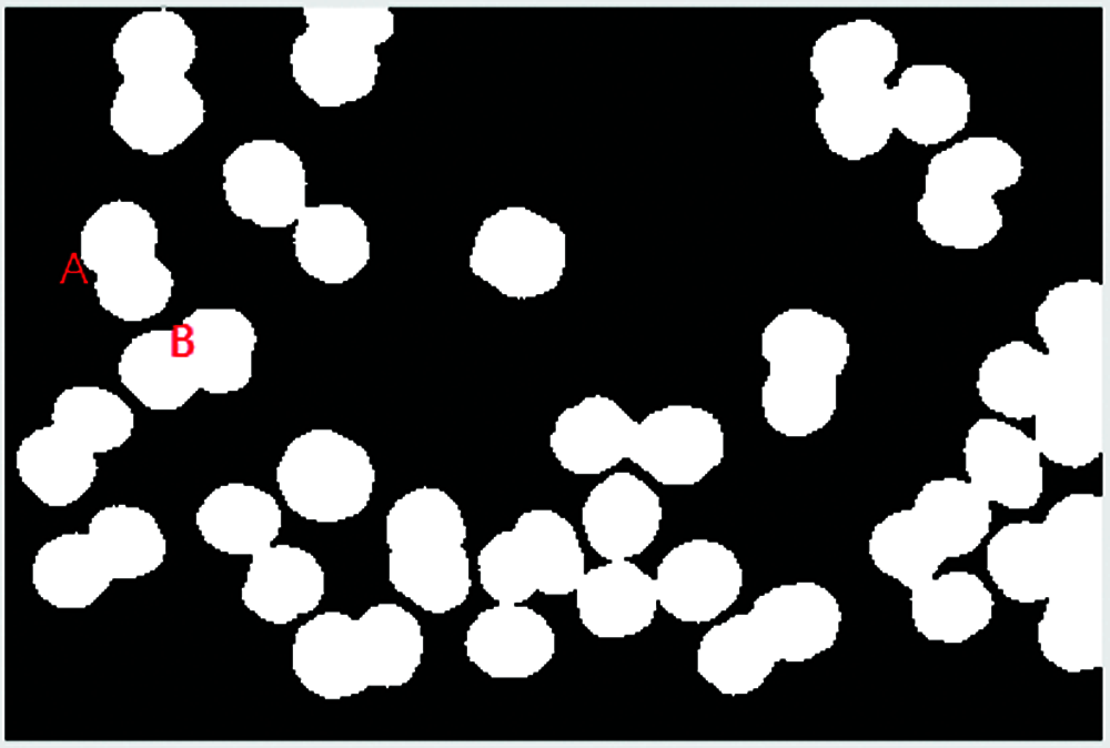 A Morphological Image Segmentation Algorithm for Circular Overlapping Cells