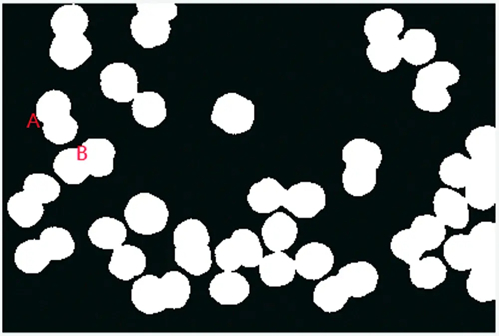 A Morphological Image Segmentation Algorithm for Circular Overlapping Cells