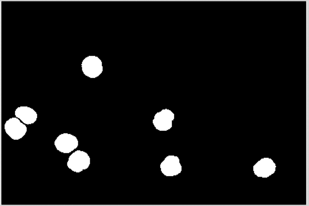 A Morphological Image Segmentation Algorithm for Circular Overlapping Cells
