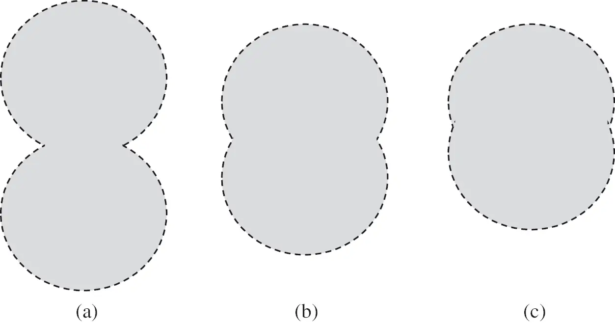 A Morphological Image Segmentation Algorithm for Circular Overlapping Cells
