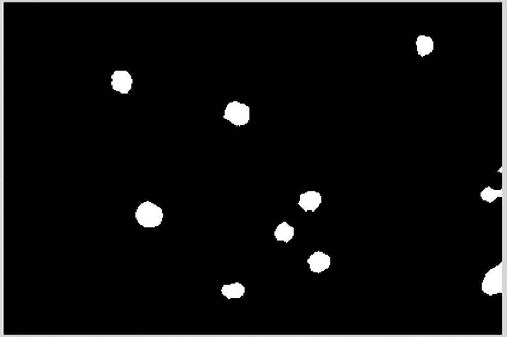 A Morphological Image Segmentation Algorithm for Circular Overlapping Cells