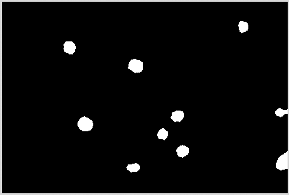 A Morphological Image Segmentation Algorithm for Circular Overlapping Cells