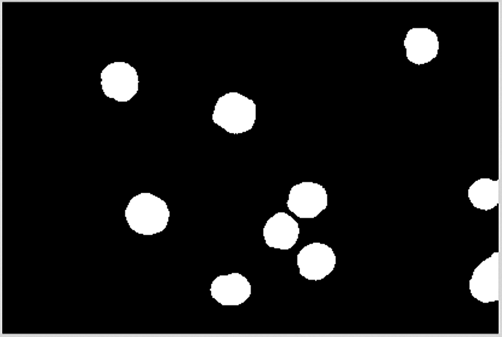 A Morphological Image Segmentation Algorithm for Circular Overlapping Cells