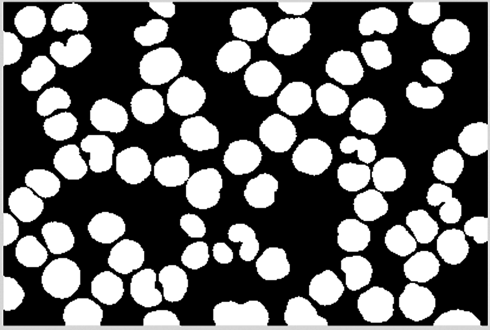 A Morphological Image Segmentation Algorithm for Circular Overlapping Cells