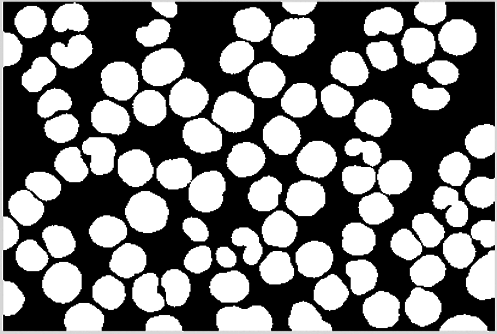 A Morphological Image Segmentation Algorithm for Circular Overlapping Cells