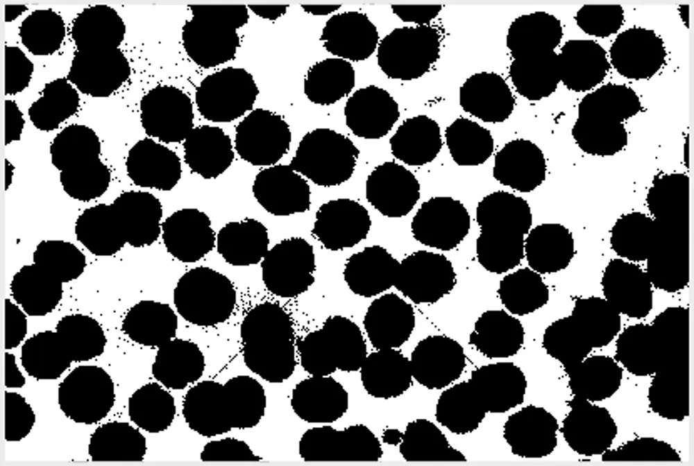 A Morphological Image Segmentation Algorithm for Circular Overlapping Cells