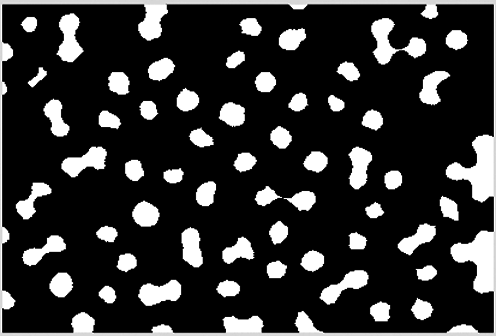 A Morphological Image Segmentation Algorithm for Circular Overlapping Cells
