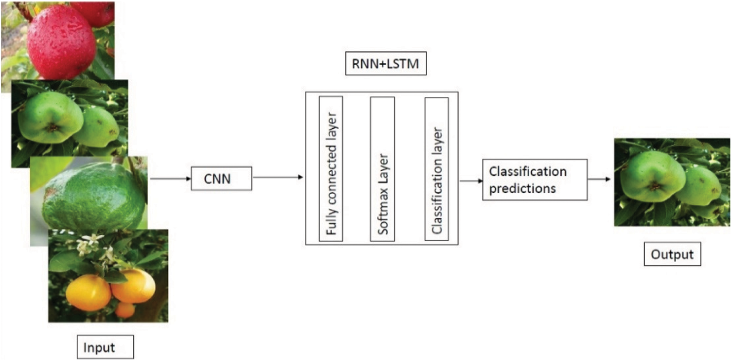 Multi-Model CNN-RNN-LSTM Based Fruit Recognition and Classification