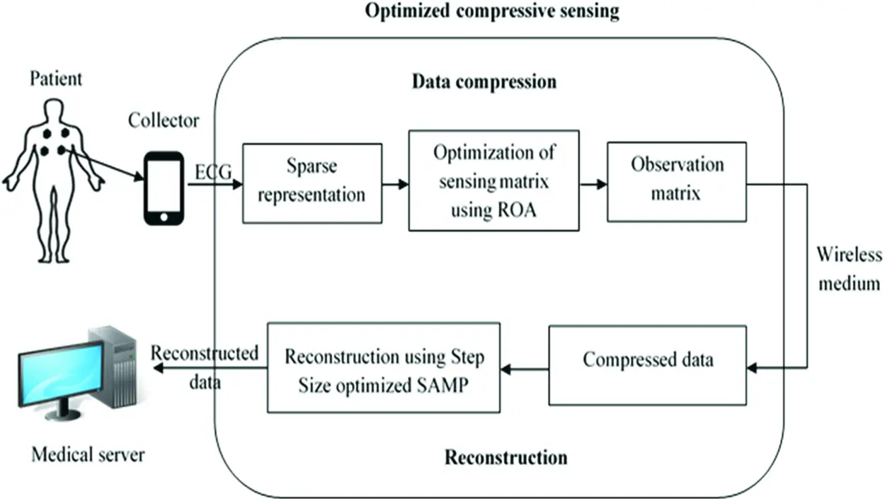 Optimized Compressive Sensing Based ECG Signal Compression and ...