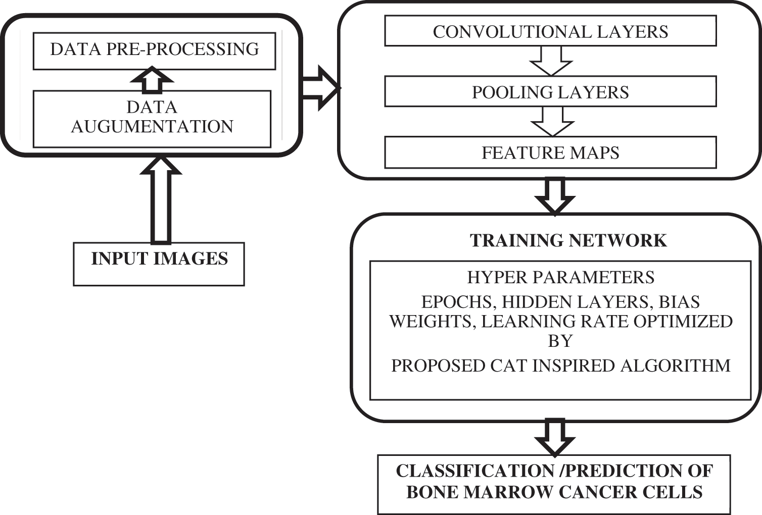 Cat-Inspired Deep Convolutional Neural Network for Bone Marrow Cancer ...