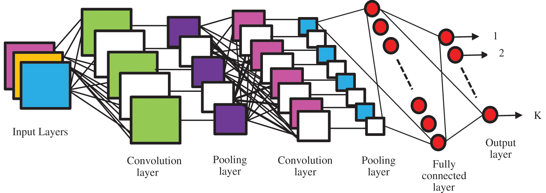 Cat-Inspired Deep Convolutional Neural Network for Bone Marrow Cancer ...