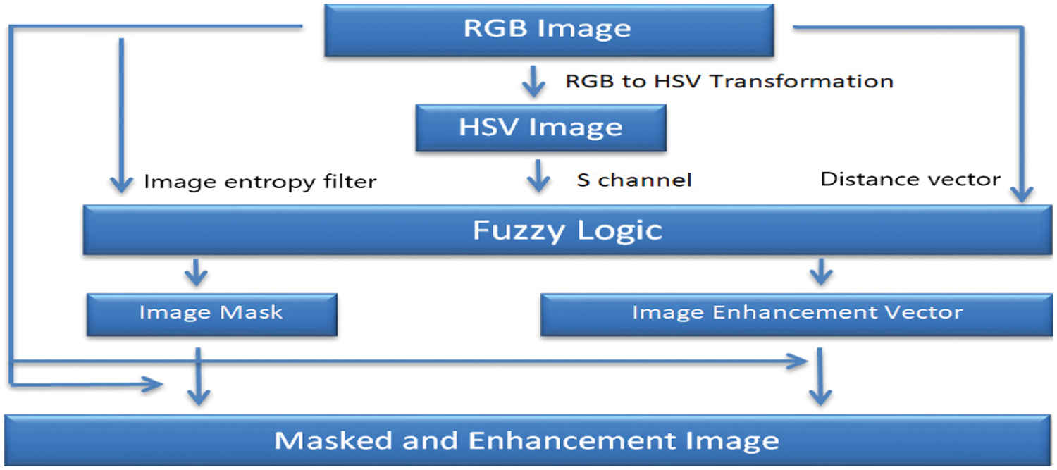 Image Masking and Enhancement System for Melanoma Early Stage Detection