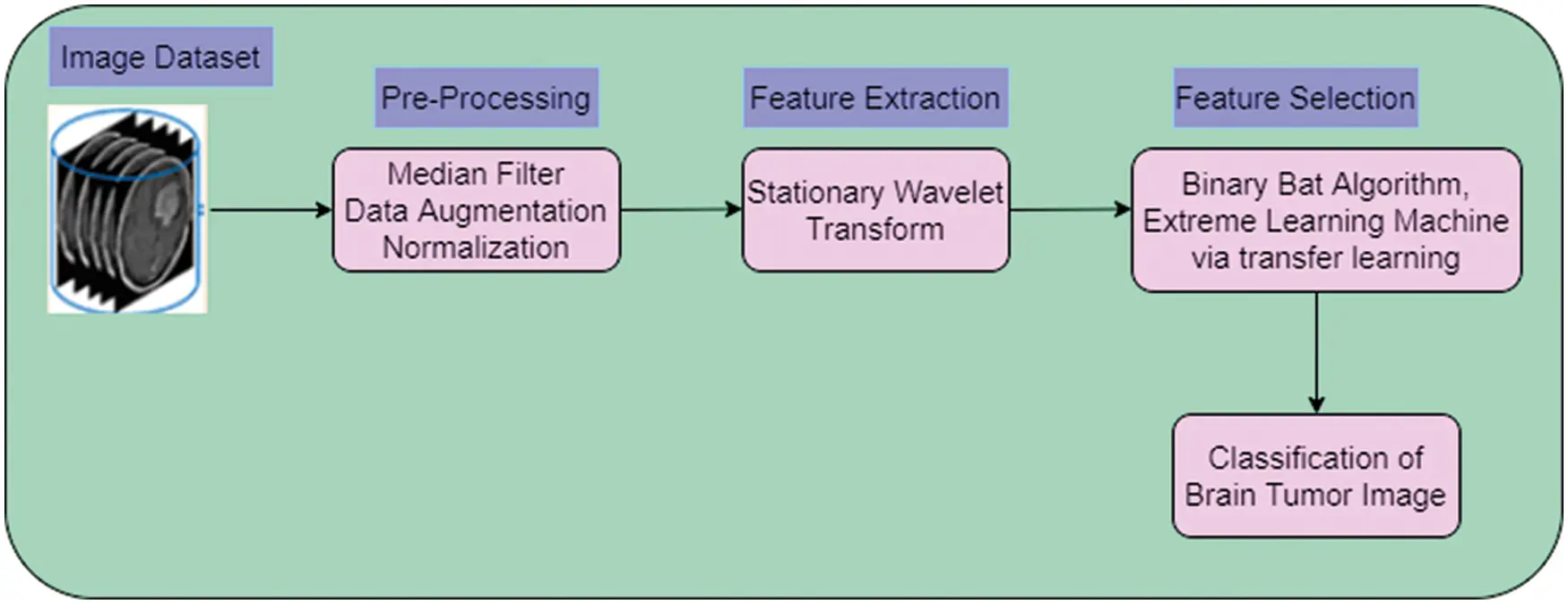 Extreme Learning Bat Algorithm in Brain Tumor Classification