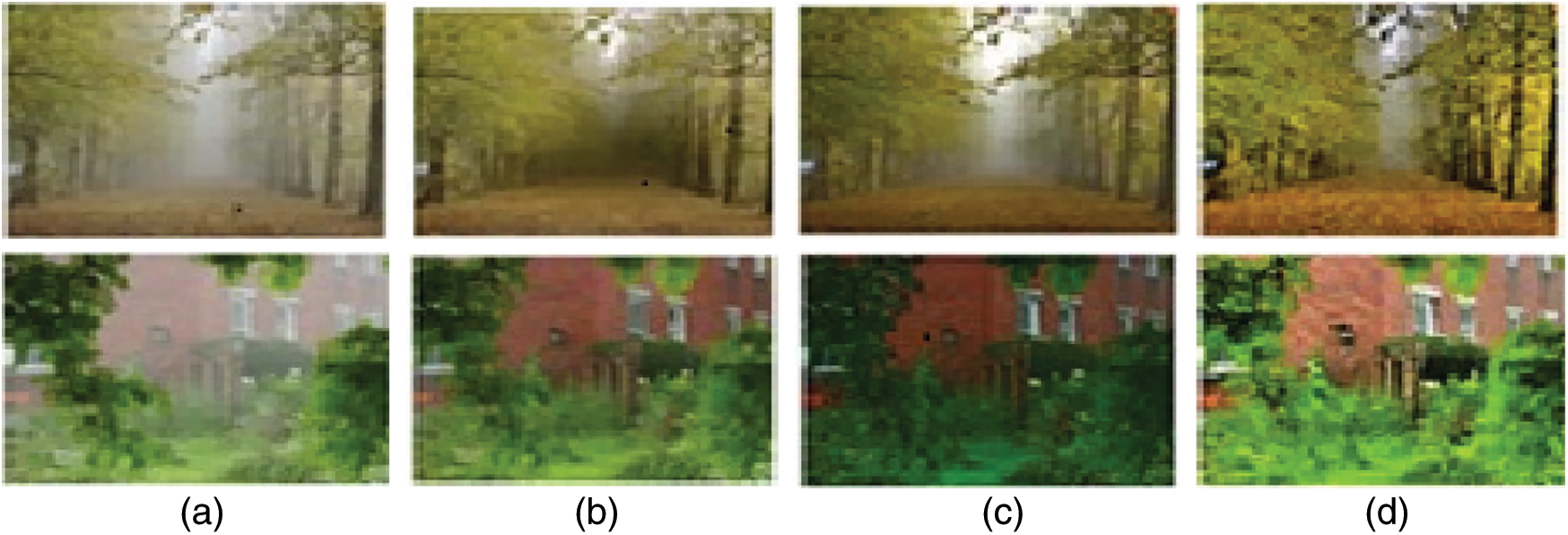 Dark and Bright Channel Priors for Haze Removal in Day and Night Images