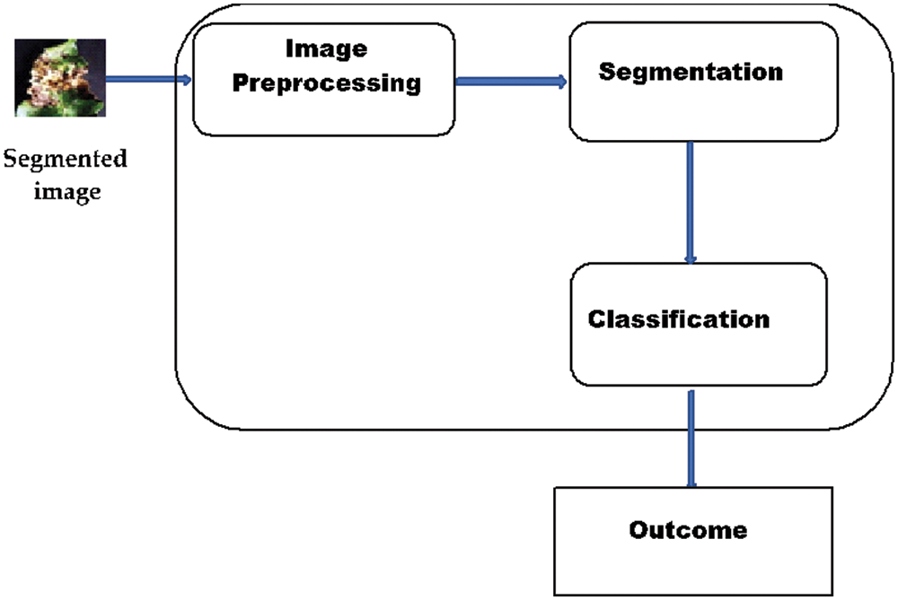 Mango Leaf Stress Identification Using Deep Neural Network