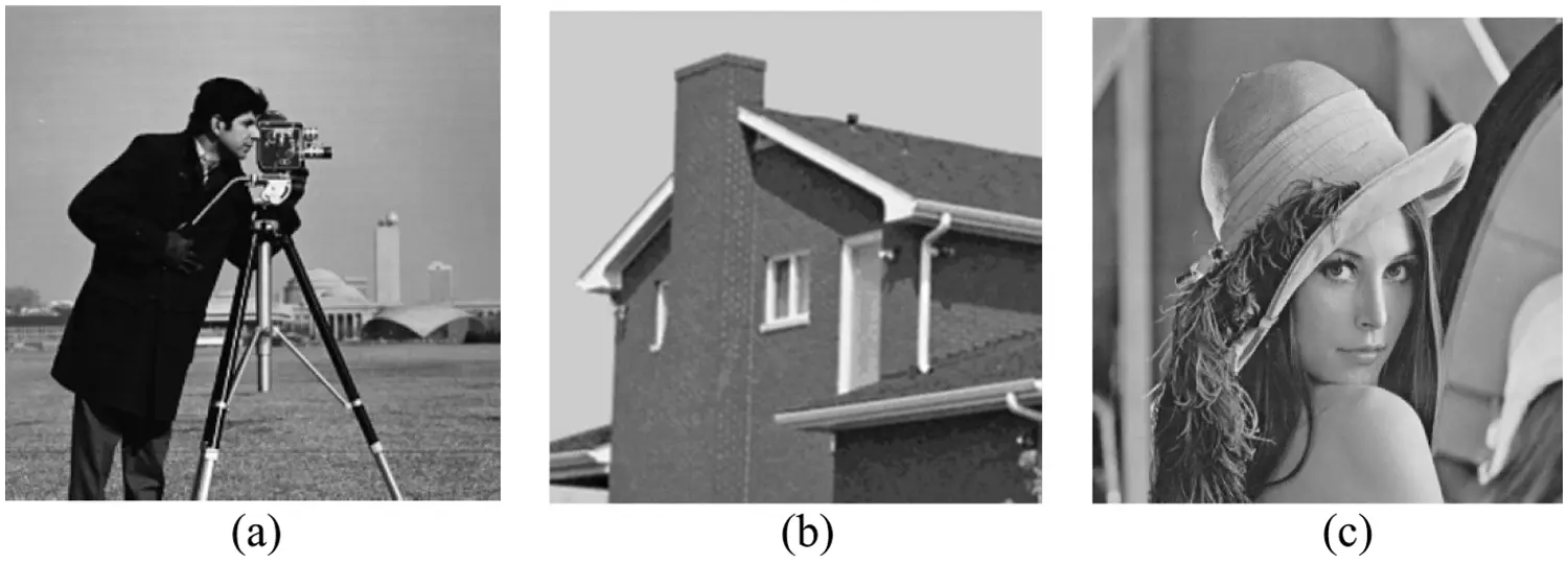 Extended Speckle Reduction Anisotropic Diffusion Filter to Despeckle ...