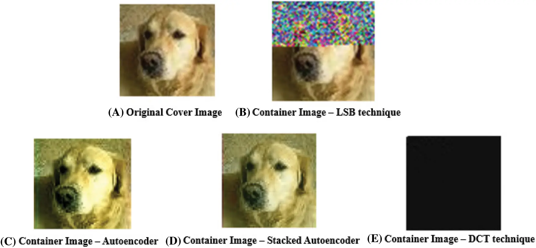 Image Steganography Using Deep Neural Networks
