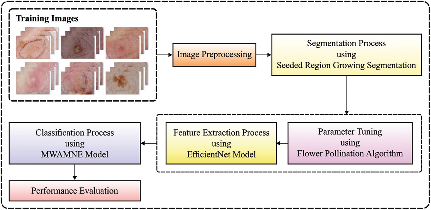 Automated Skin Lesion Diagnosis and Classification Using Learning Algorithms