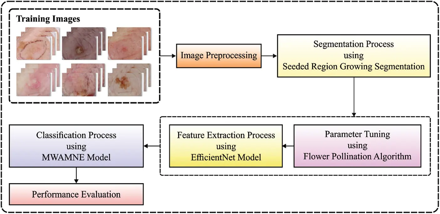 Automated Skin Lesion Diagnosis and Classification Using Learning Algorithms