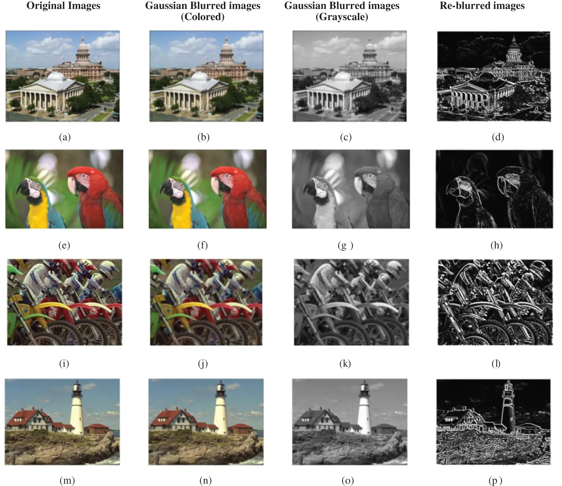 No-Reference Blur Assessment Based on Re-Blurring Using Markov Basis