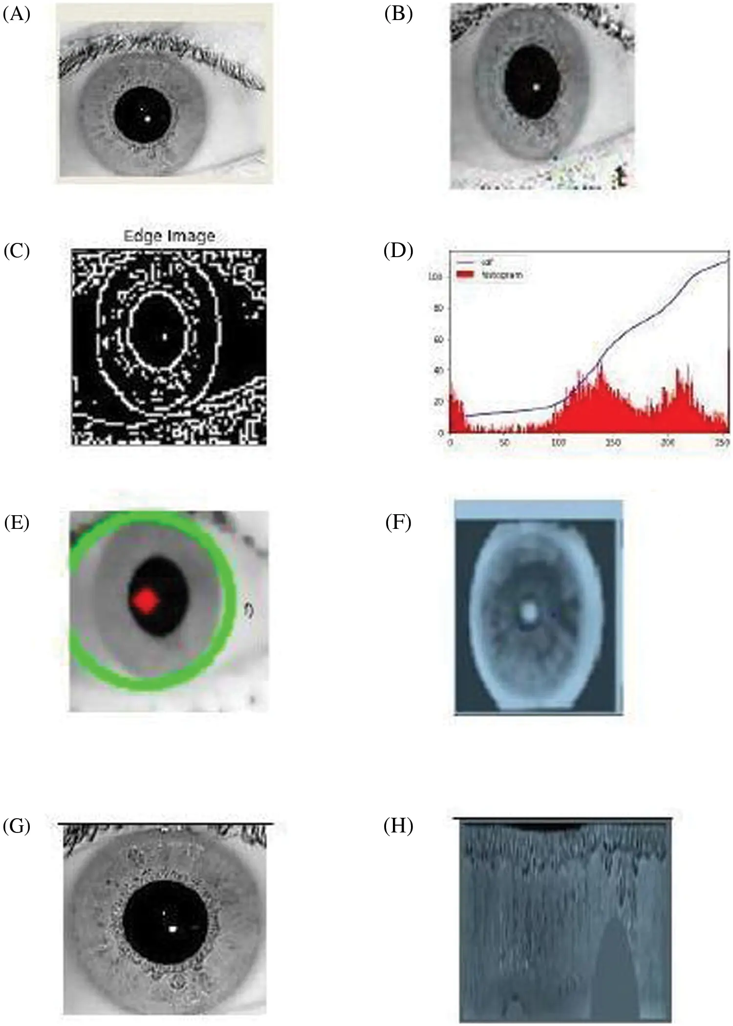 An Optimised Defensive Technique to Recognize Adversarial Iris Images ...