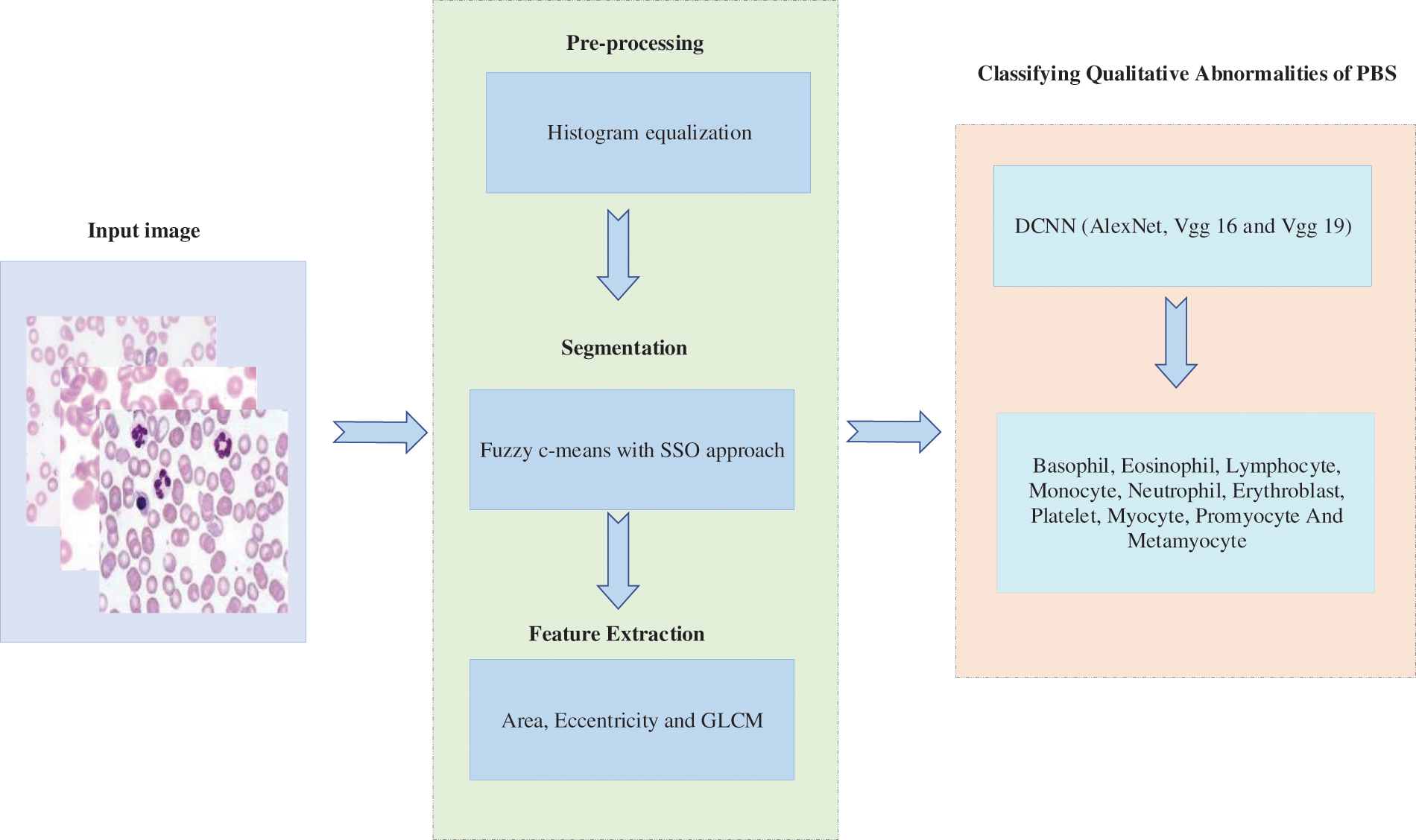 Qualitative Abnormalities of Peripheral Blood Smear Images Using Deep ...