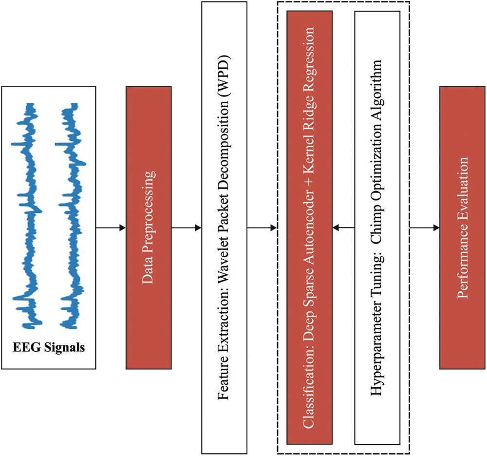 Ensemble Deep Learning with Chimp Optimization Based Medical Data Classification