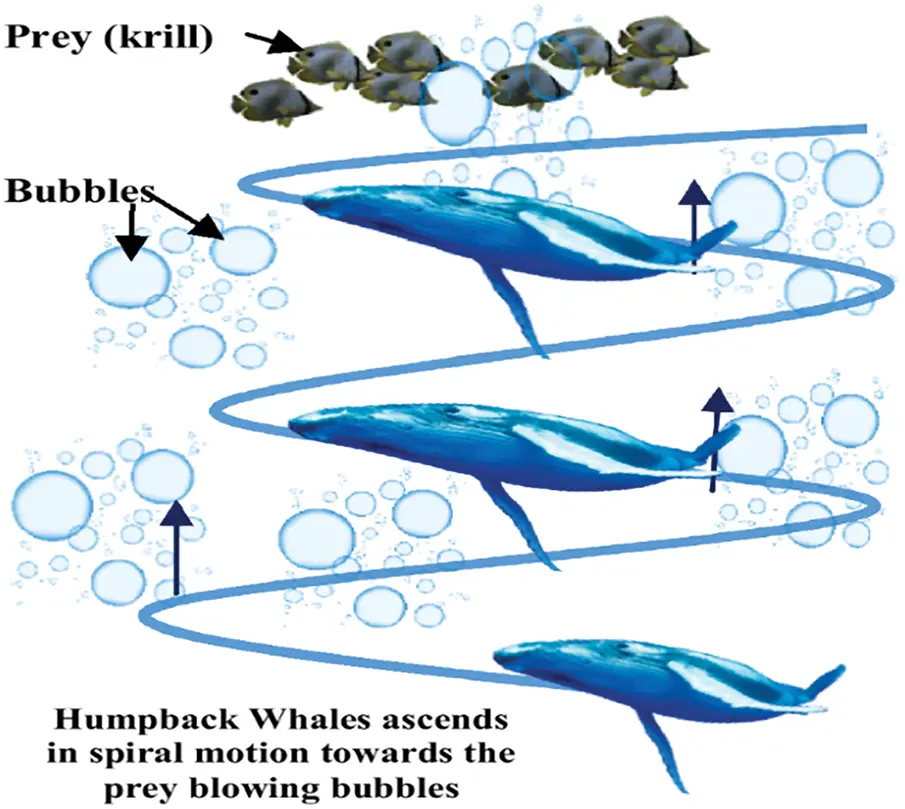 WOA-DNN for Intelligent Intrusion Detection and Classification in MANET ...