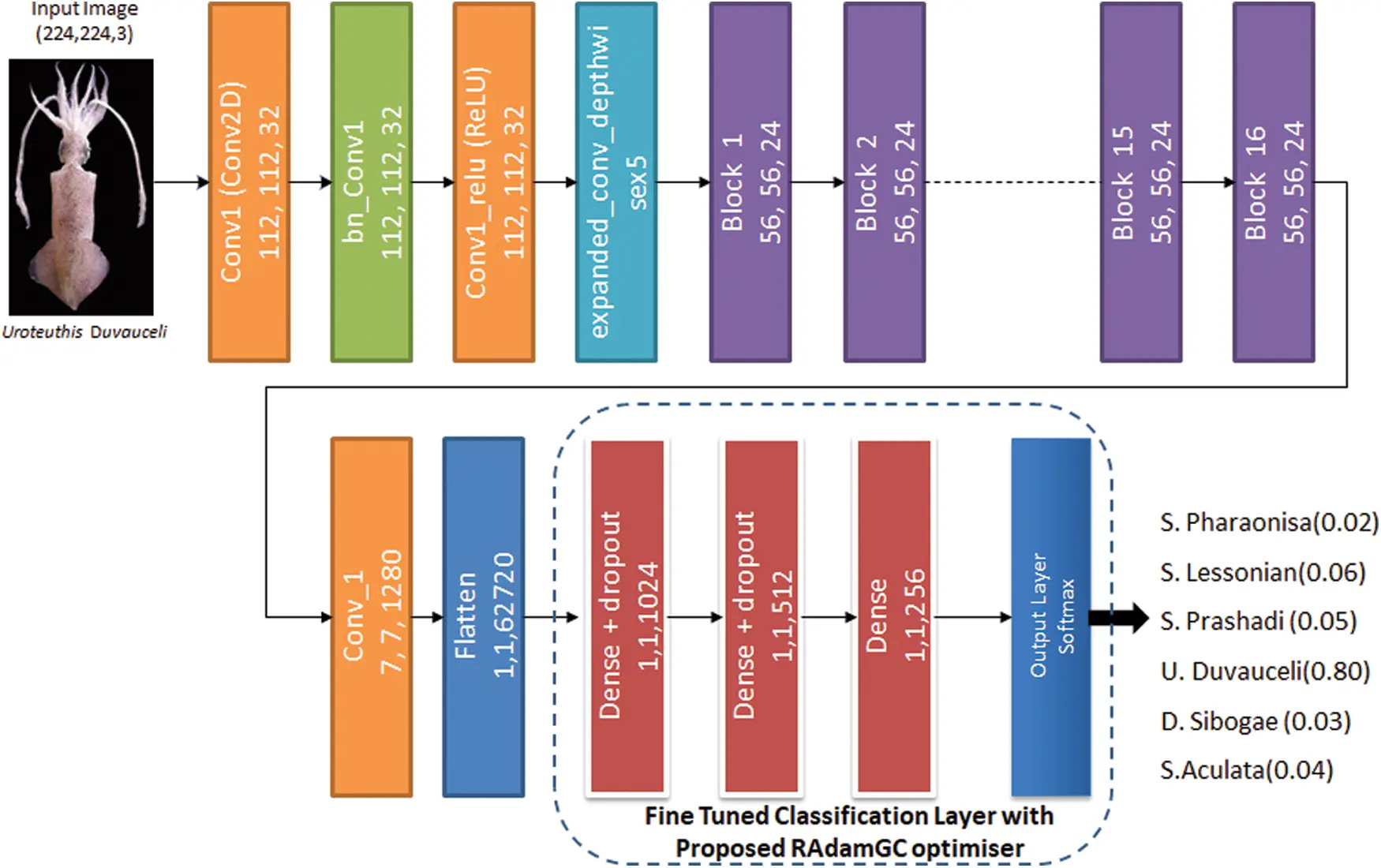 IASC | Free Full-Text | Cephalopods Classification Using Fine Tuned ...