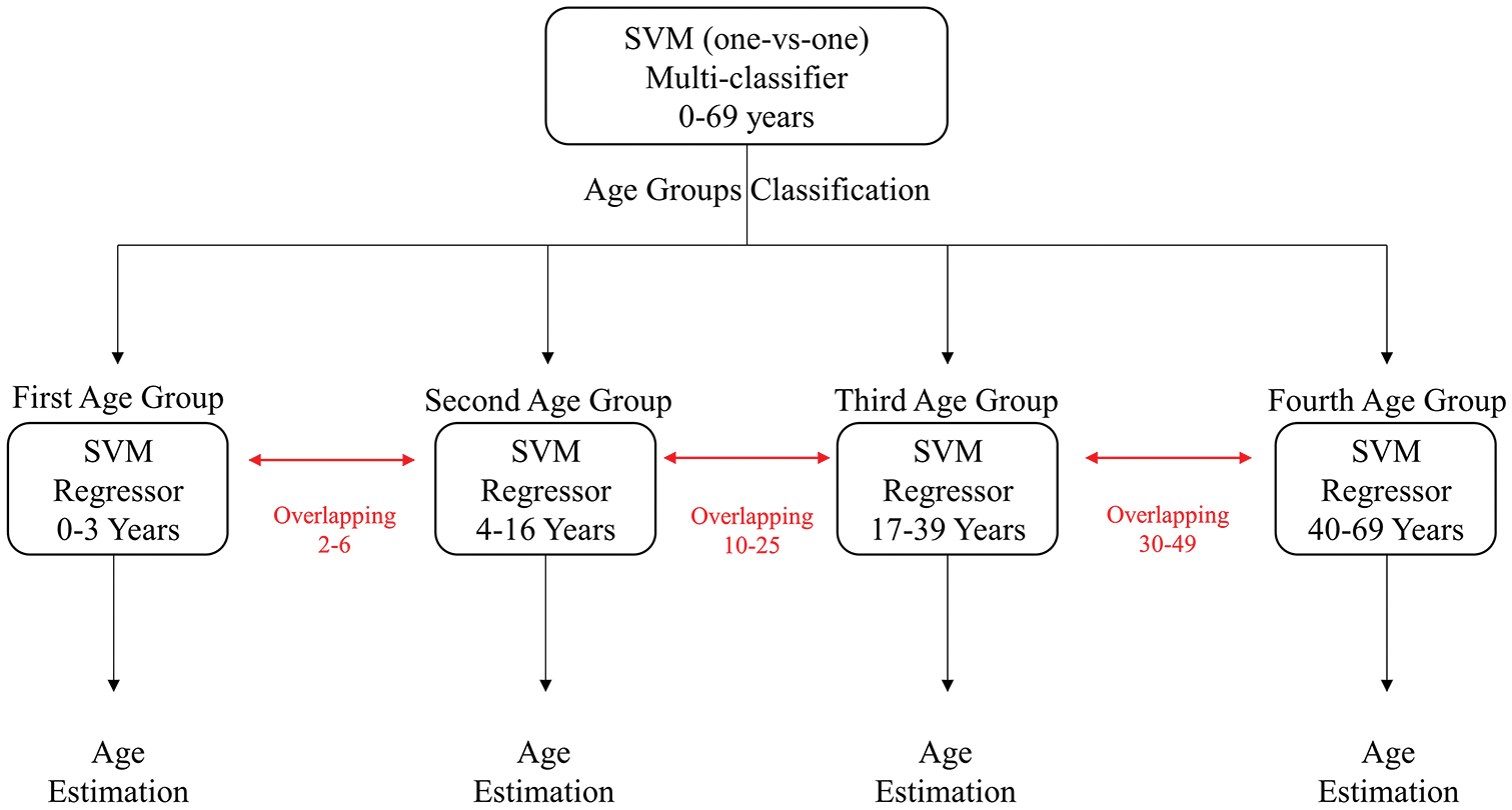 Age Groups Classification