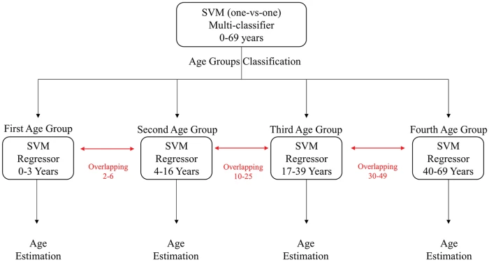 Age Group Classification
