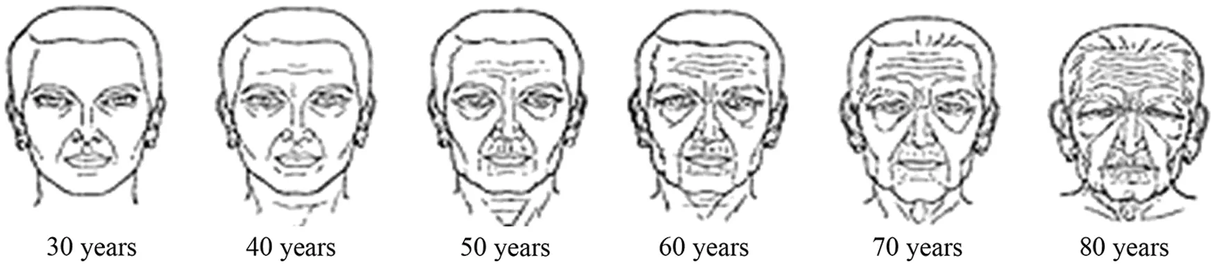 Semantic Human Face Analysis for Multi-level Age Estimation