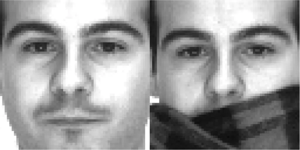 Dynamic Feature Subset Selection for Occluded Face Recognition