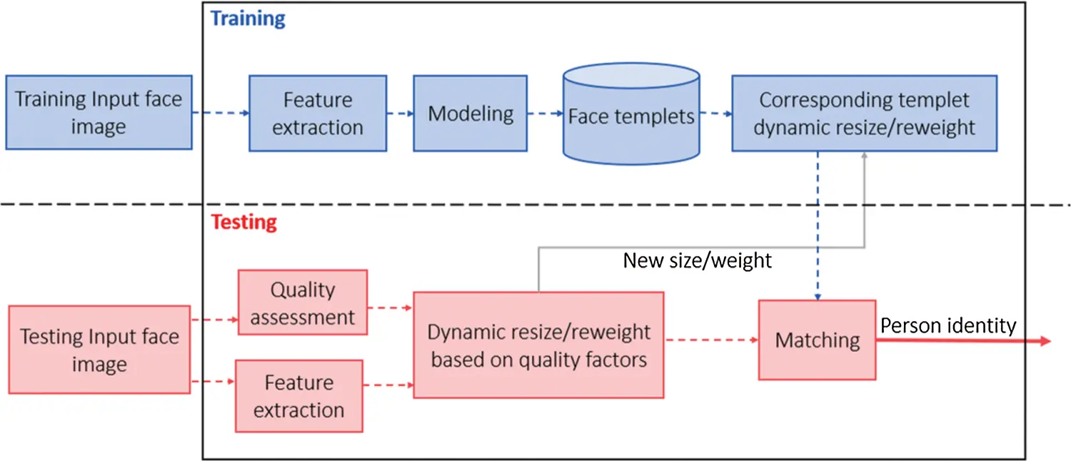 Dynamic Feature Subset Selection for Occluded Face Recognition
