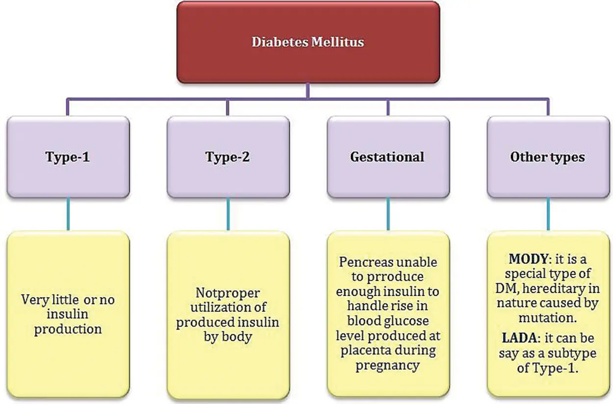 Deep Learning Model to Detect Diabetes Mellitus Based on DNA Sequence
