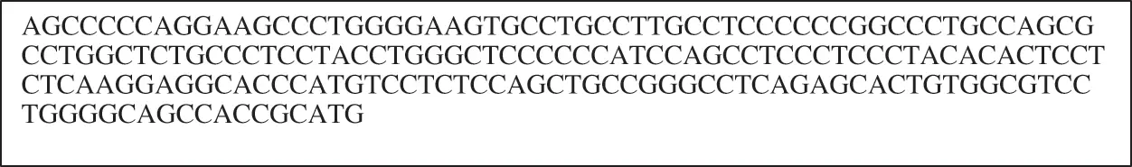 Deep Learning Model to Detect Diabetes Mellitus Based on DNA Sequence