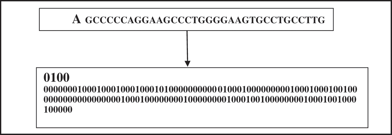 Deep Learning Model to Detect Diabetes Mellitus Based on DNA Sequence