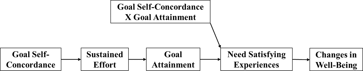 Goal Self-Concordance Model: What Have We Learned and Where are We Going