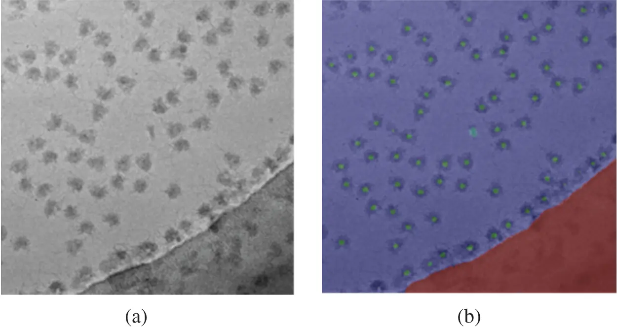 A Noise Extraction Method for Cryo-EM Single-Particle Denoising