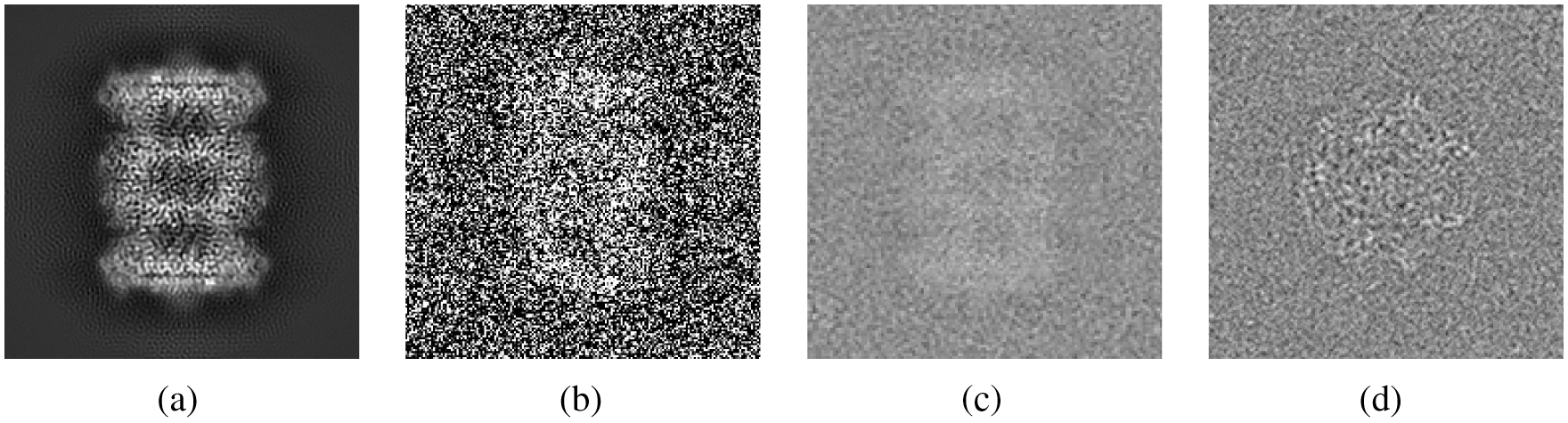 A Noise Extraction Method for Cryo-EM Single-Particle Denoising