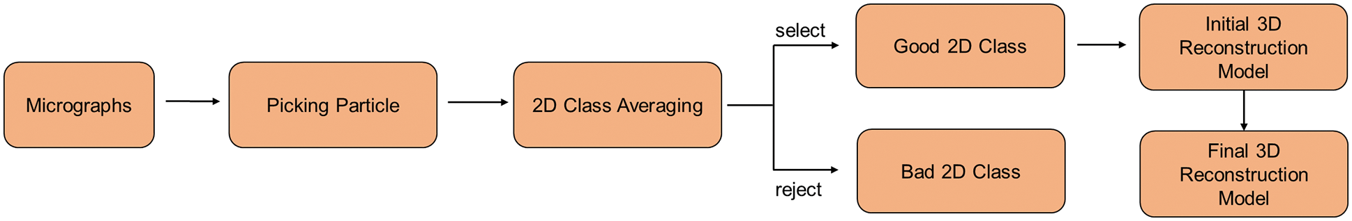CenterPicker: An Automated Cryo-EM Single-Particle Picking Method Based on Center Point Detection