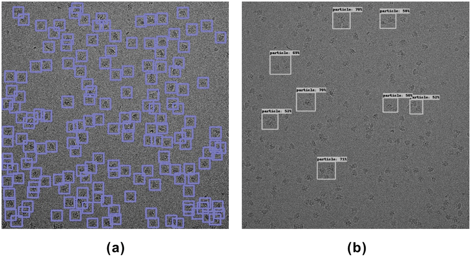 CenterPicker: An Automated Cryo-EM Single-Particle Picking Method Based on Center Point Detection
