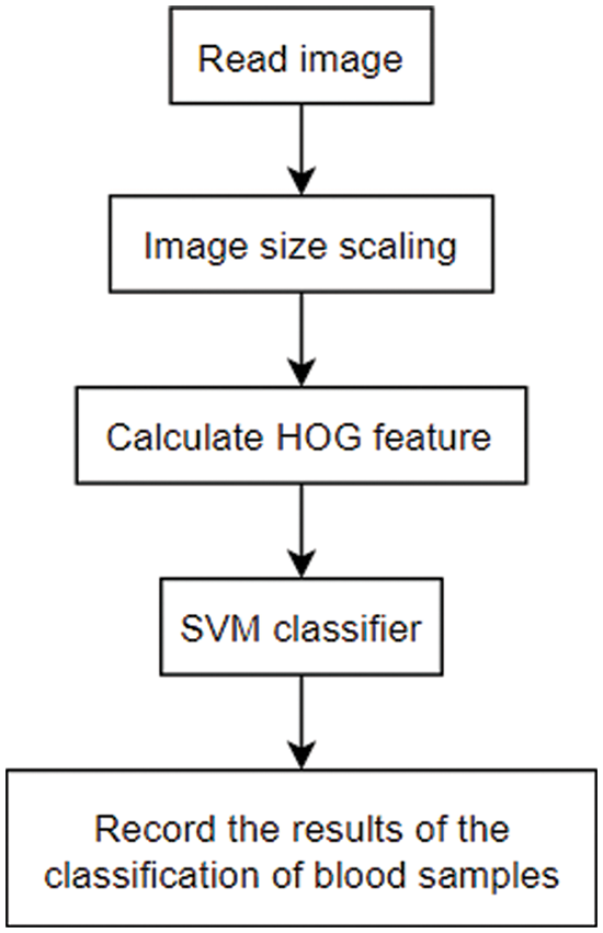 Blood Sample Image Classification Algorithm Based on SVM and HOG