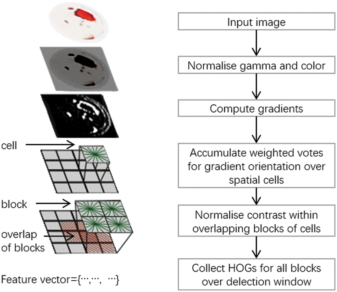 Blood Sample Image Classification Algorithm Based on SVM and HOG