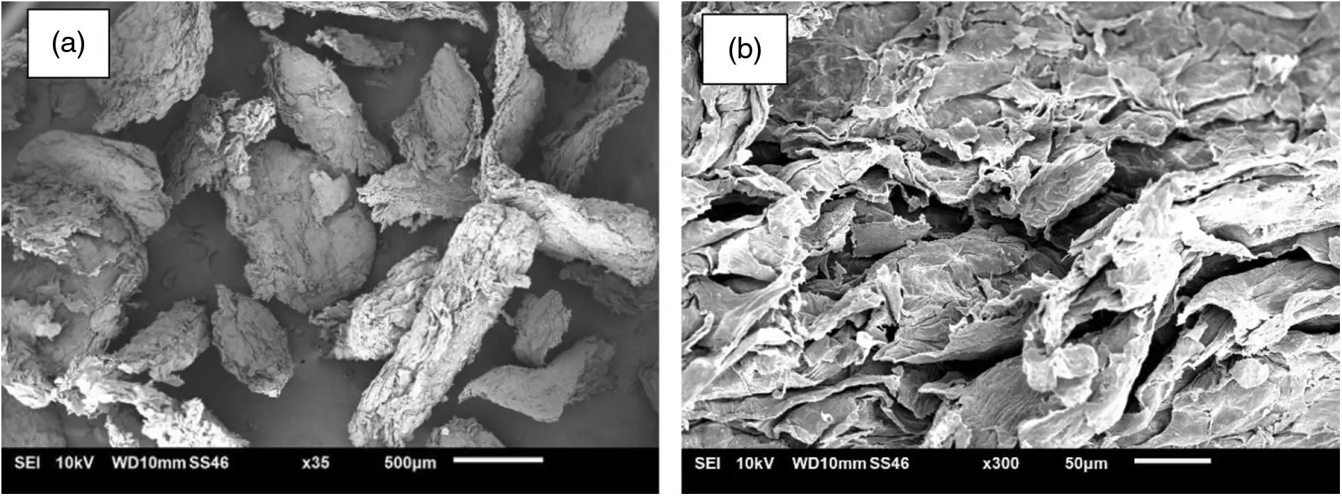 Characterization of Potential Cellulose from Hylocereus Polyrhizus (Dragon Fruit) peel: A Study ...