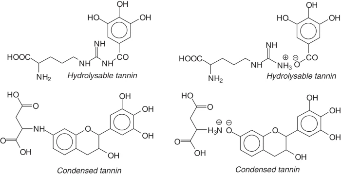 Tannin Structure